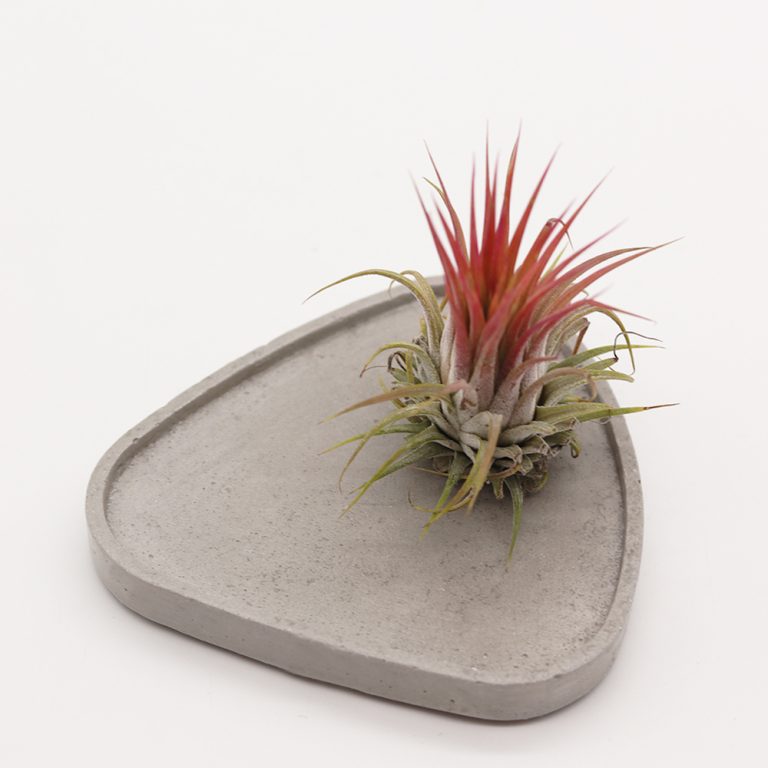 Concrete Tray Triangle - Greenery Concrete Designs